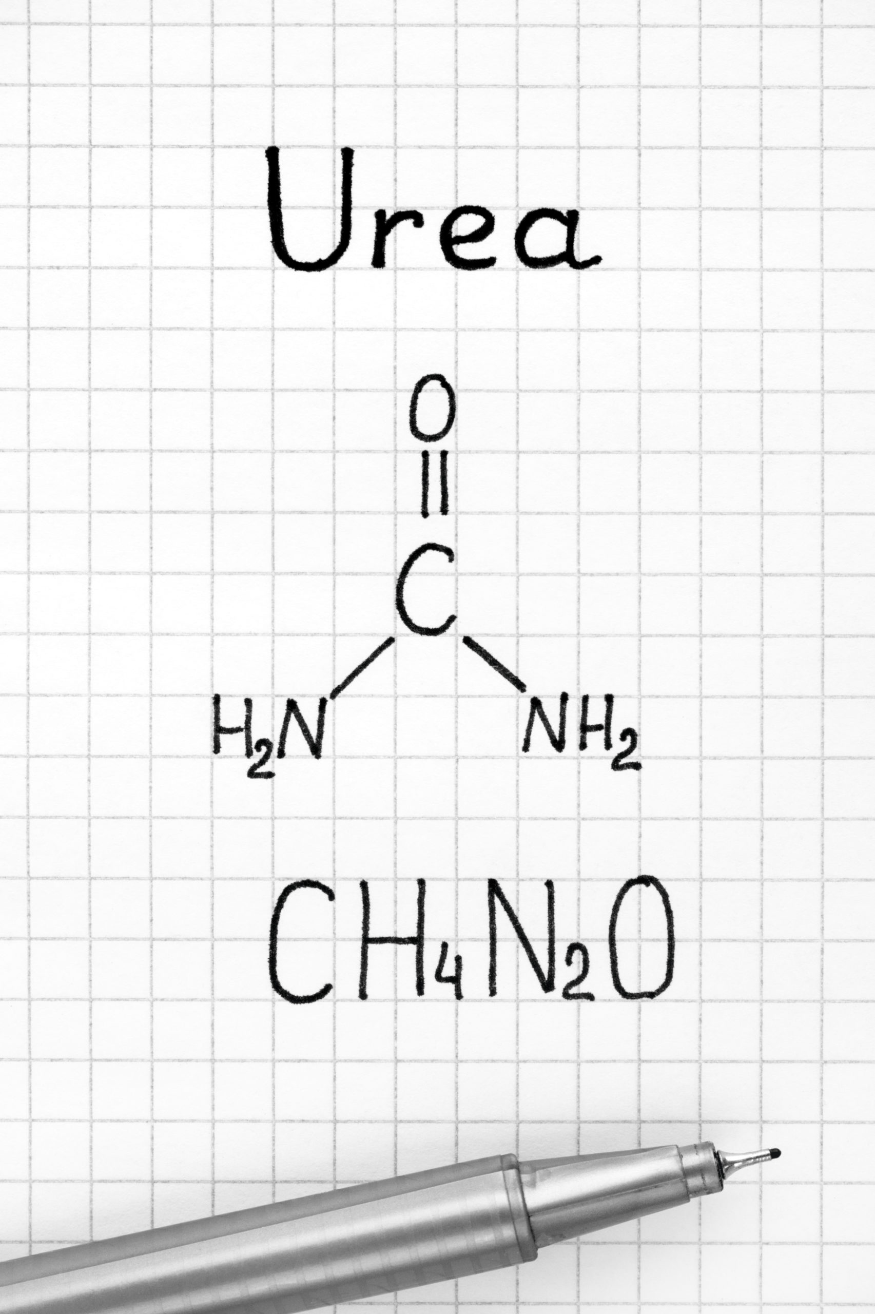 Urea Vs Uric Acid: What's the Difference? | Quick Fix Synthetic